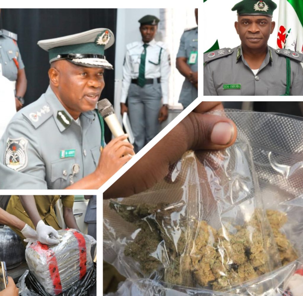 347.5kg Cannabis busted in Apapa customs, NDLEA major joint operation ...